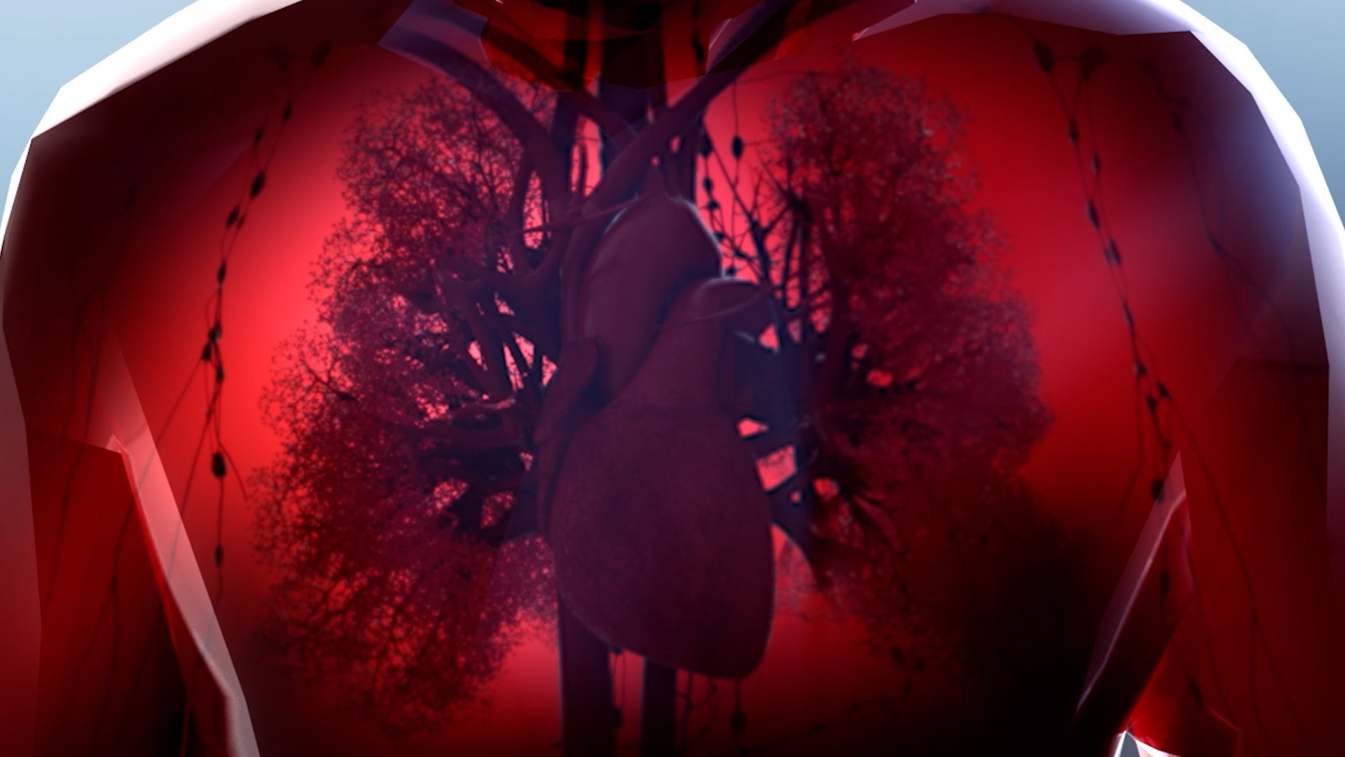 Introducing Our New Showreel - XVIVO Introducing Our New Showreel - XVIVO